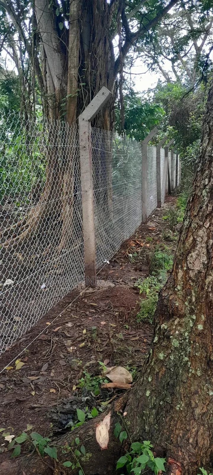 Chain Link Fencing in Central Division - Building & Trade Services ...