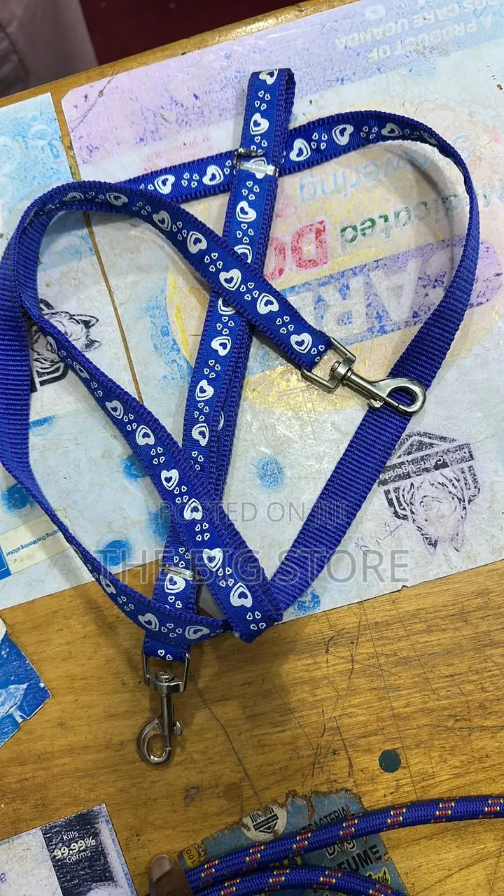 Dog Leash and Harness in Central Division - Pet Accessories, The Big ...