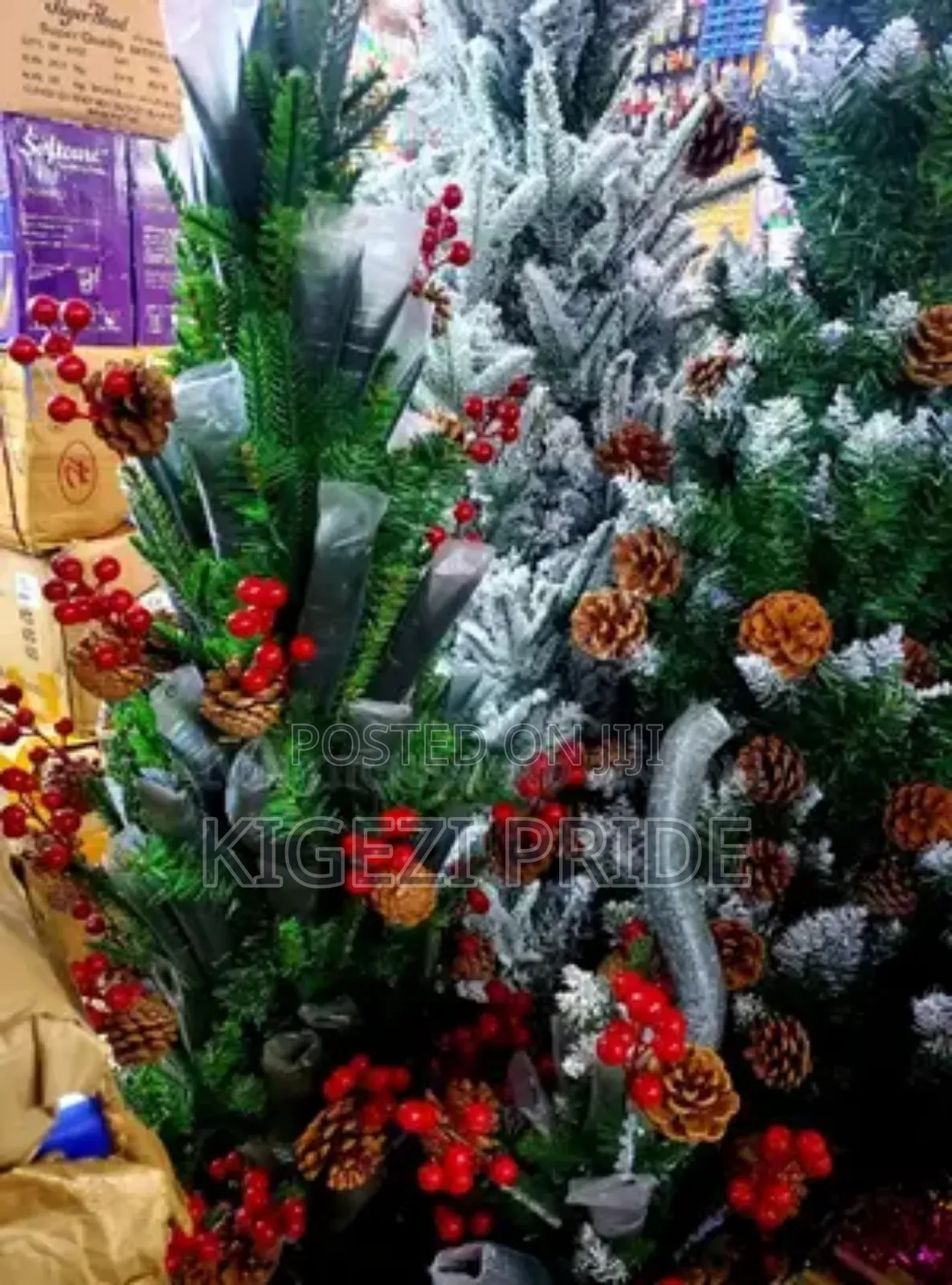 Christmas Tree Big in Central Division - Home Accessories, Kigezi Pride ...
