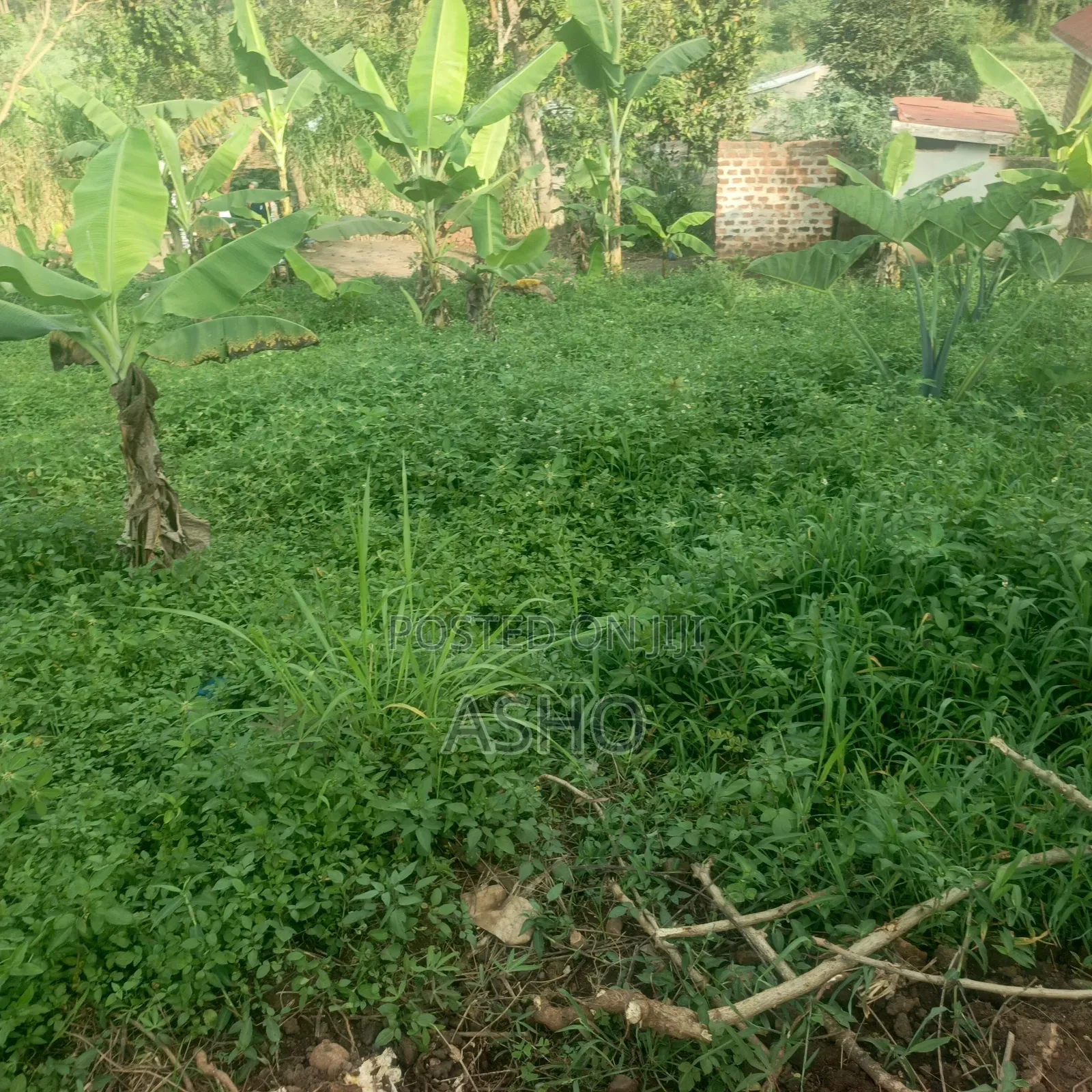 Plot of Land for Sale in Busukuma - Land & Plots for Sale, Ashiraf ...