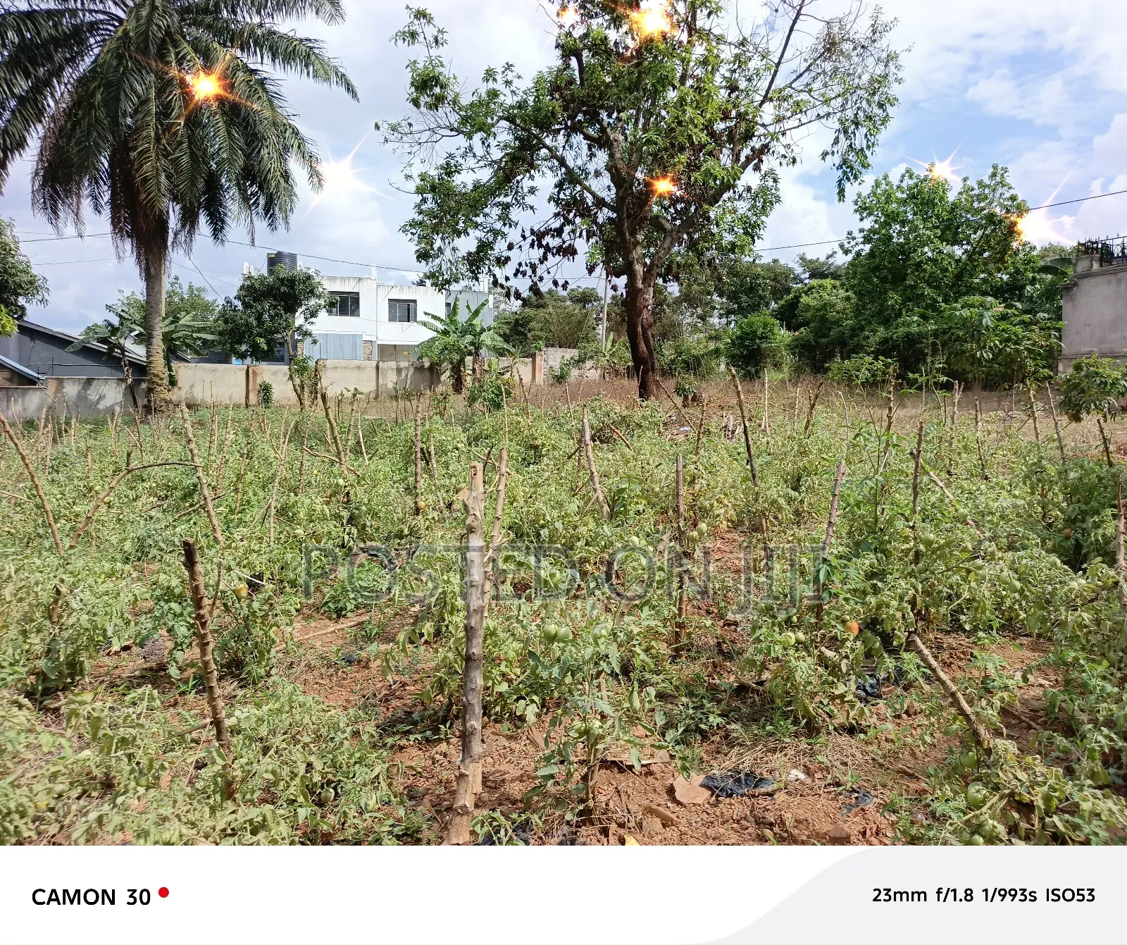 Kyanja 25 Decimals Plot Selling for 370m Ugx, for Apartments Titled in ...