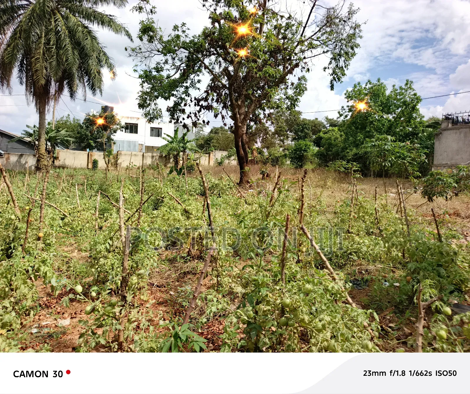 Kyanja 25 Decimals Plot Selling for 370m Ugx, for Apartments Titled in ...