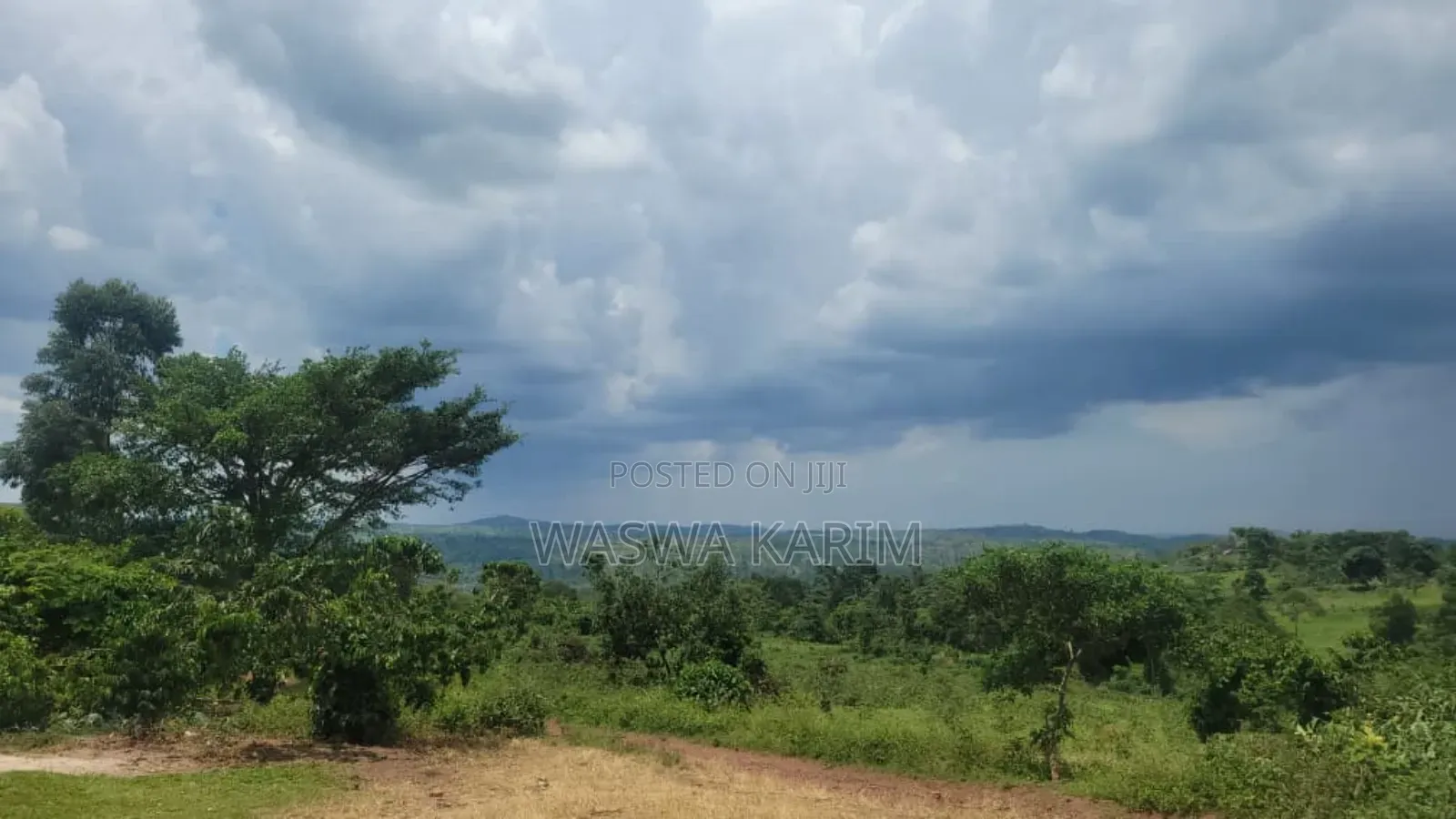 Farmland on Sale in Bukomero - Land & Plots for Sale, Wasswa Karim ...