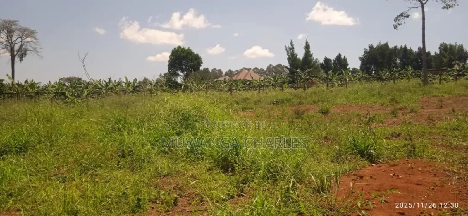 Plots on Sale in Gombe in Gombe - Land & Plots for Sale, Muwanga ...