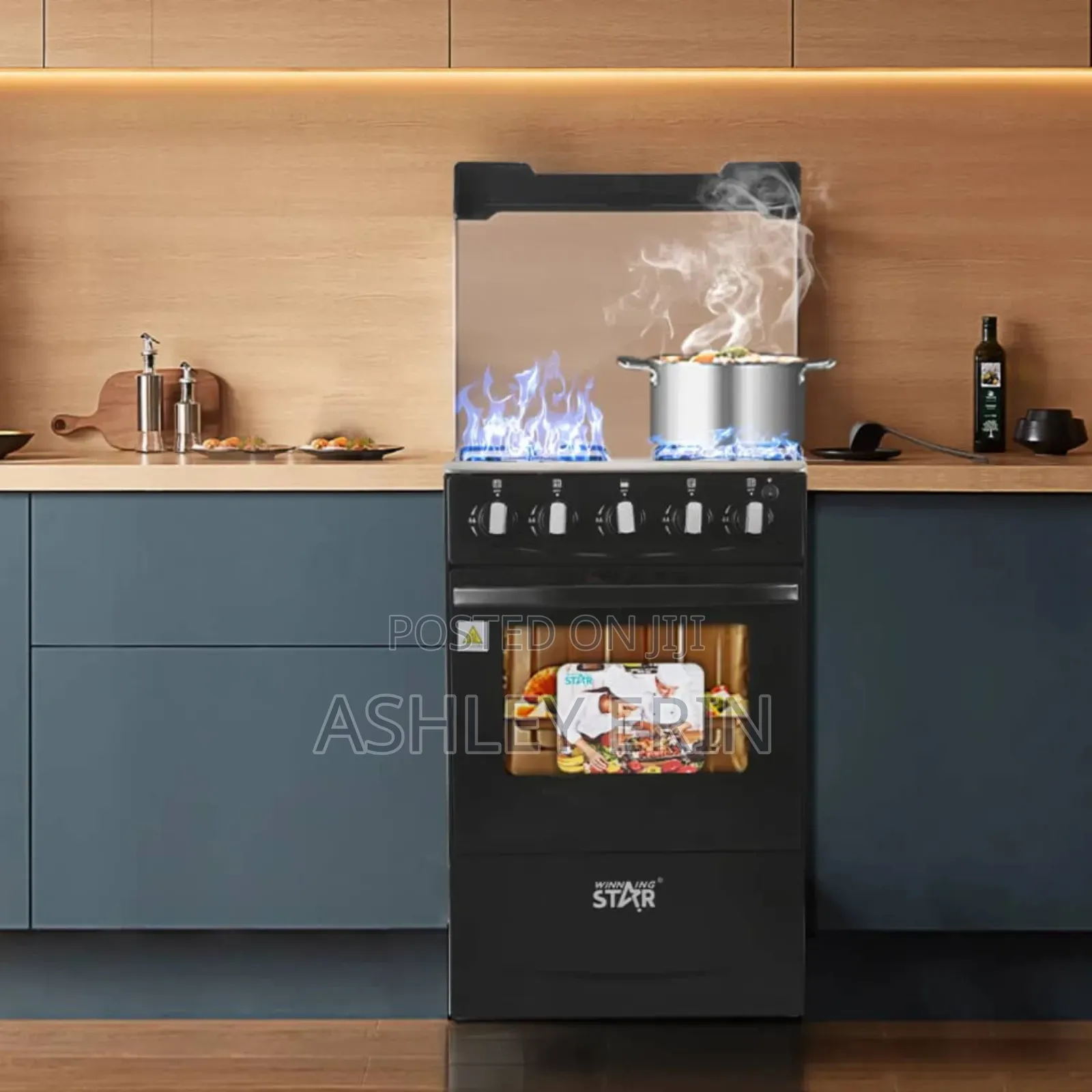 Winning Star 4-Burner Gas Stove With an Oven for sale - ASHLEY ERIN ...