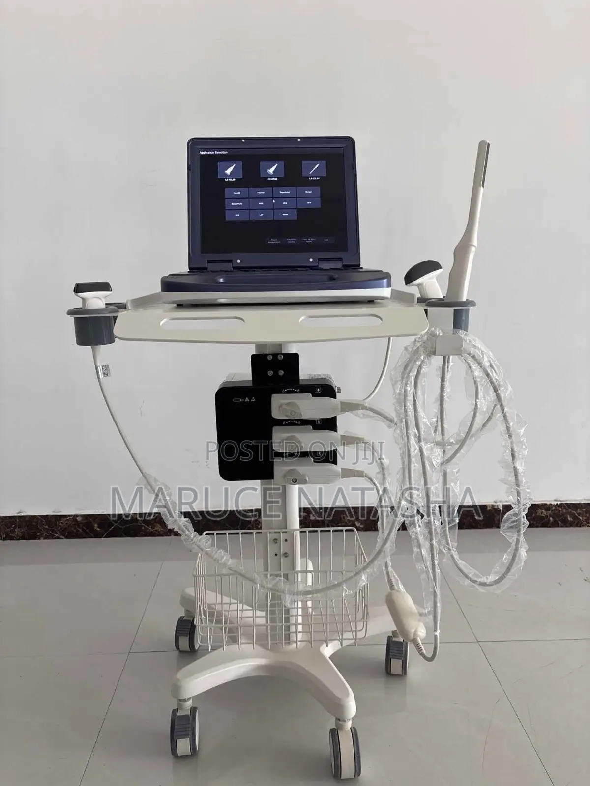 Rechargeable Portable High End Ultrasound Scan With Three Probes for ...