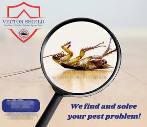 Fumigation / Pest Control For Homes, Offices, Institutions, Etc in ...