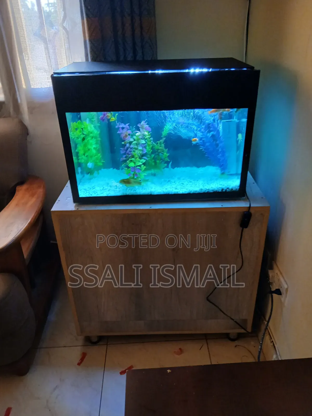 The Well Designed Black Fish Tank in Central Division - Fish, Aqua ...