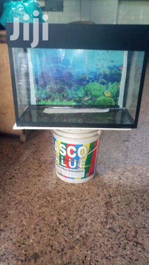 Beautiful Aquarium With Aqua 2000 for sale - Ssali Ismail Price: USh ...
