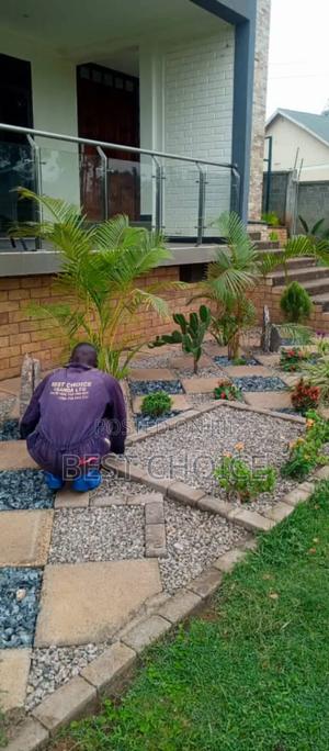 Expert Compound Designing and Land Scaping Where Art Meets Nature in ...