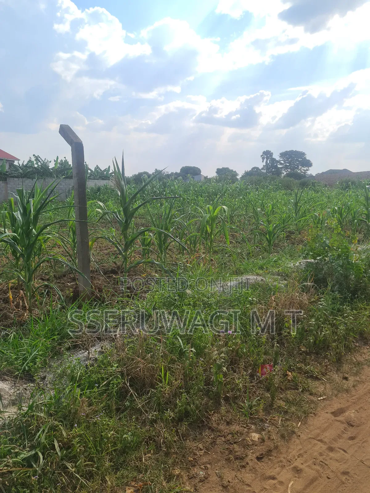 Plot for Sale in Matuga Kigogwa Bombo Rd 50x100 in Central Division ...