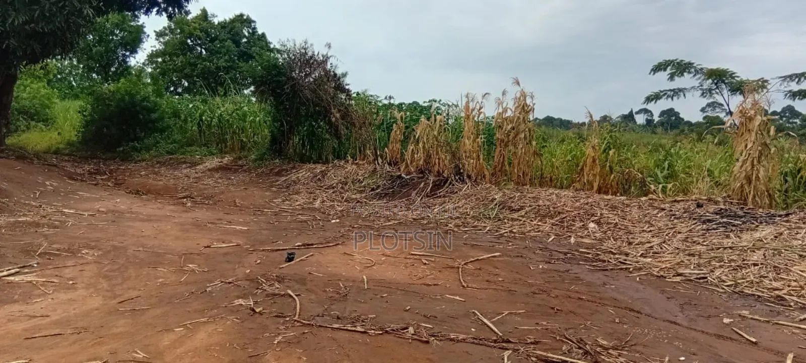 3 Acres Touching Jinja–Kamuli Highway for Sale – Buwenge. in Jinja ...