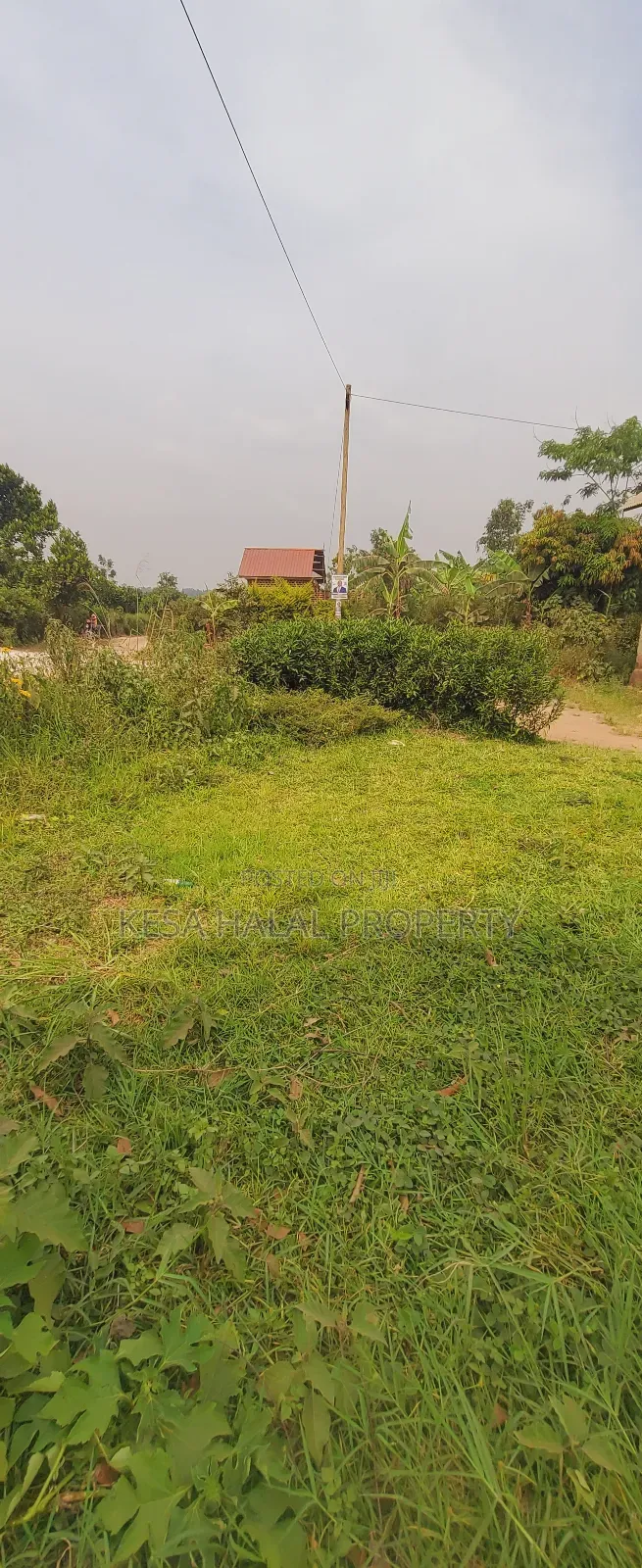 24 Decimals Touching Marram Road for Sale. in Gombe - Land & Plots for ...