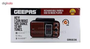 Geepas Rechargeable Radio Ans Music Player for sale - New winners ...