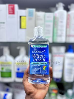 T.N. Dickson's Witch Hazel Alcohol Free Moisturizing Astringent in ...