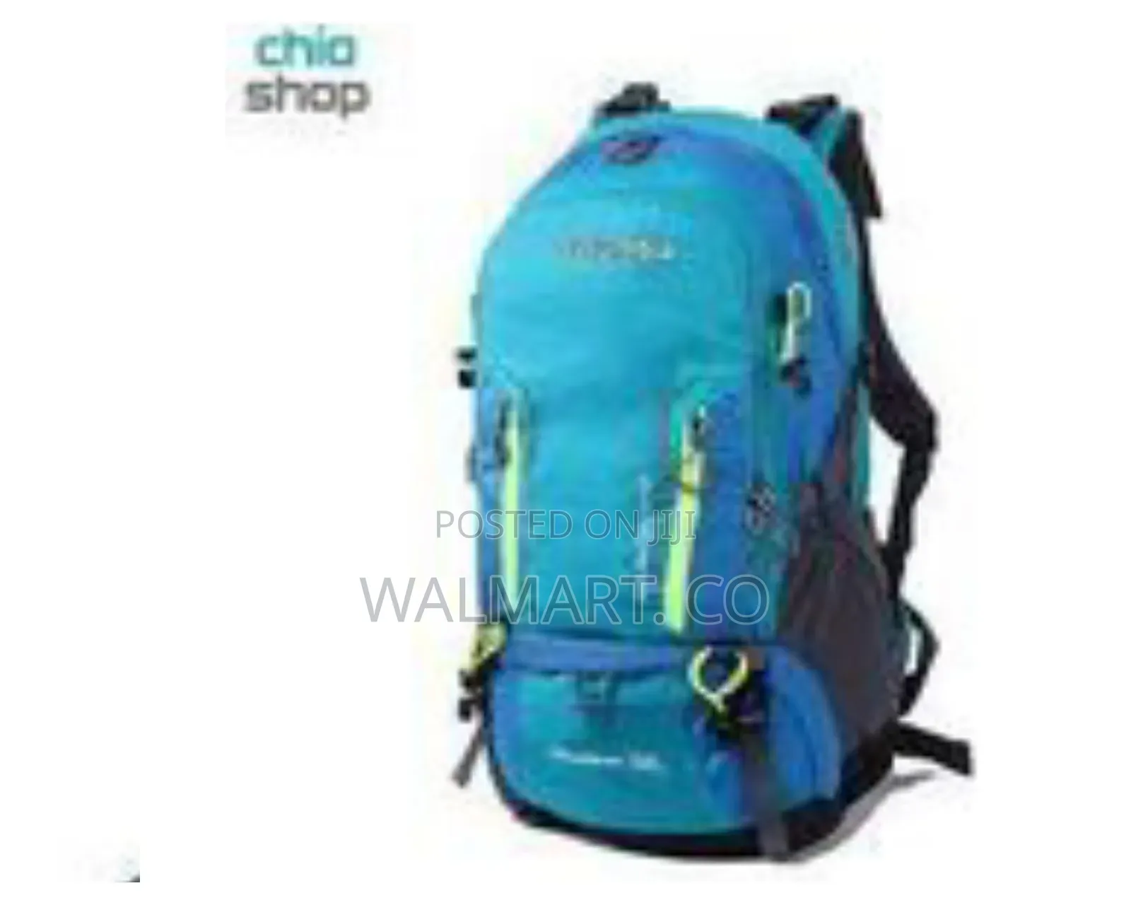 Waterproof 18 Inch Business Notebook Laptop Backpack in Central ...