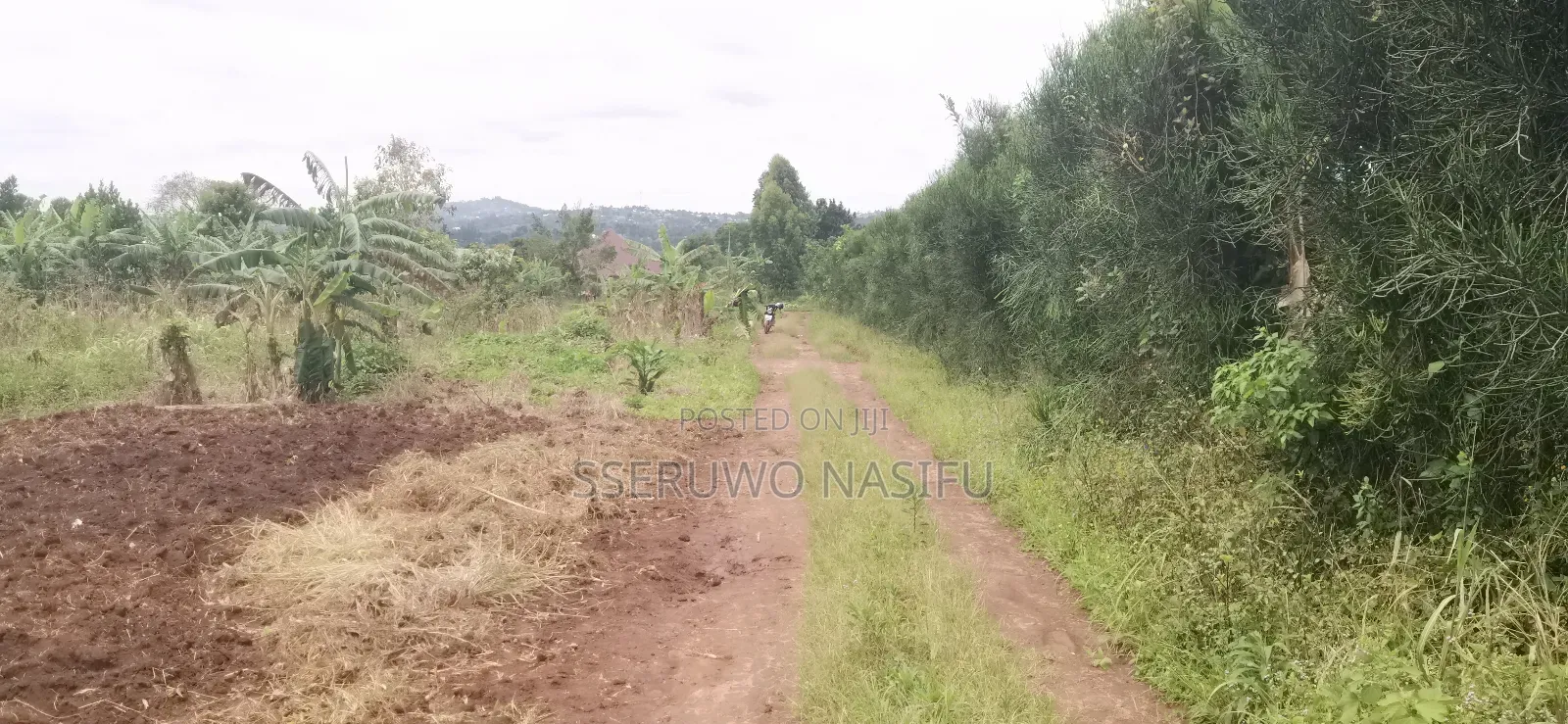 Land With a Ready Title in Ssisa - Land & Plots for Sale, Sseruwo ...