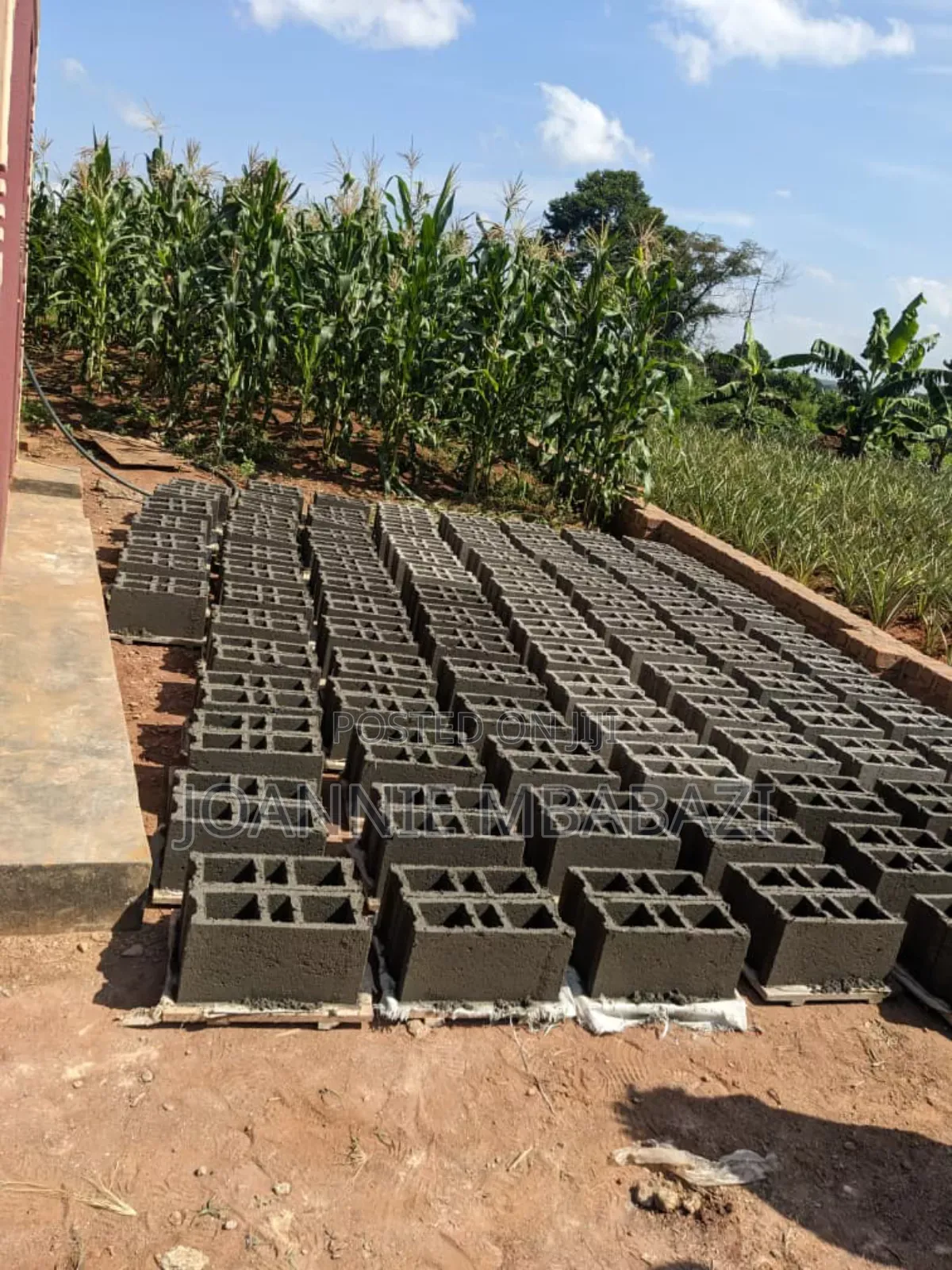 Blocks at You Own Site in Central Division - Building Materials ...