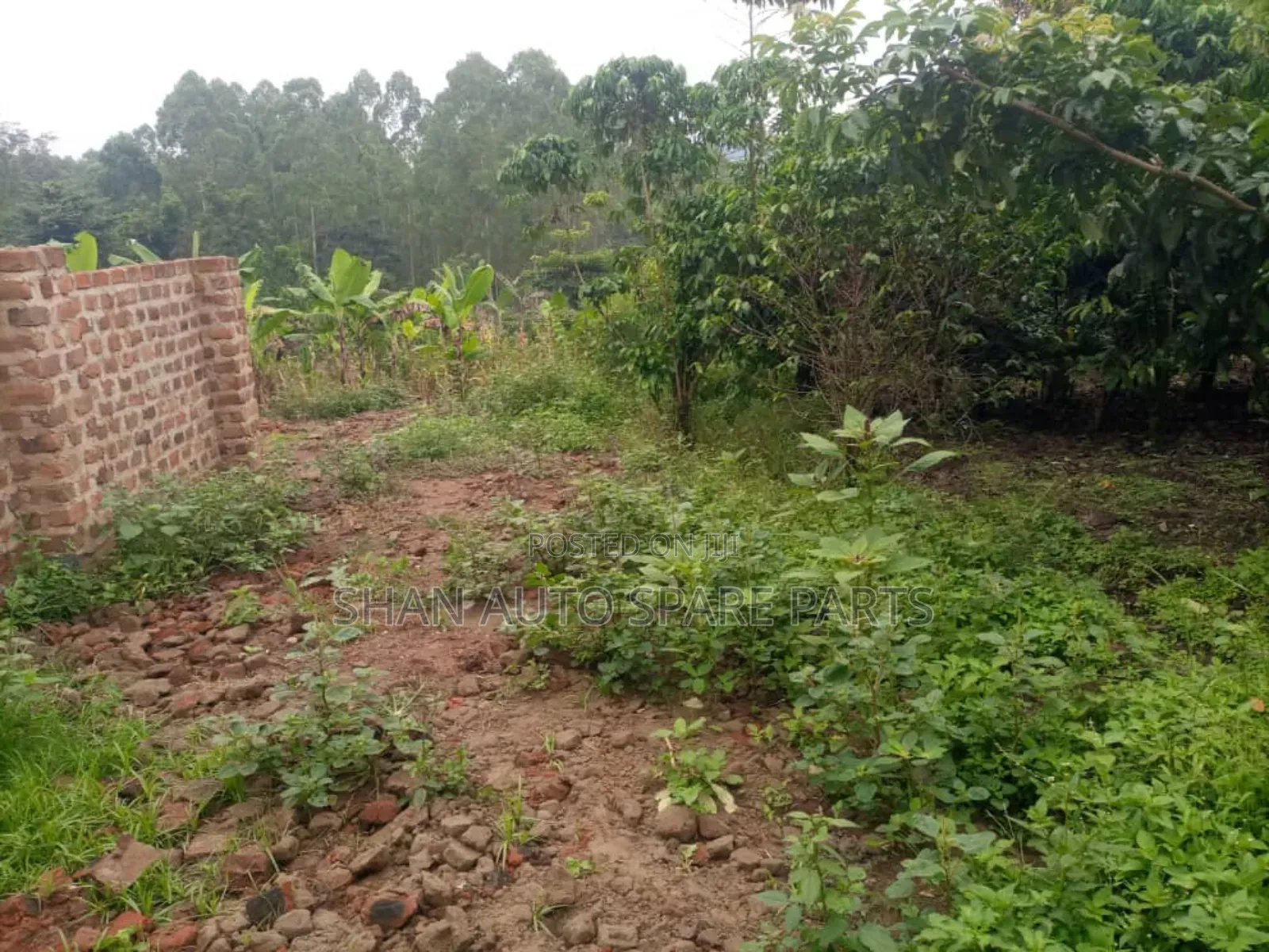 Plot for Sale in Busukuma - Land & Plots for Sale, Ssendyose Fredrick ...