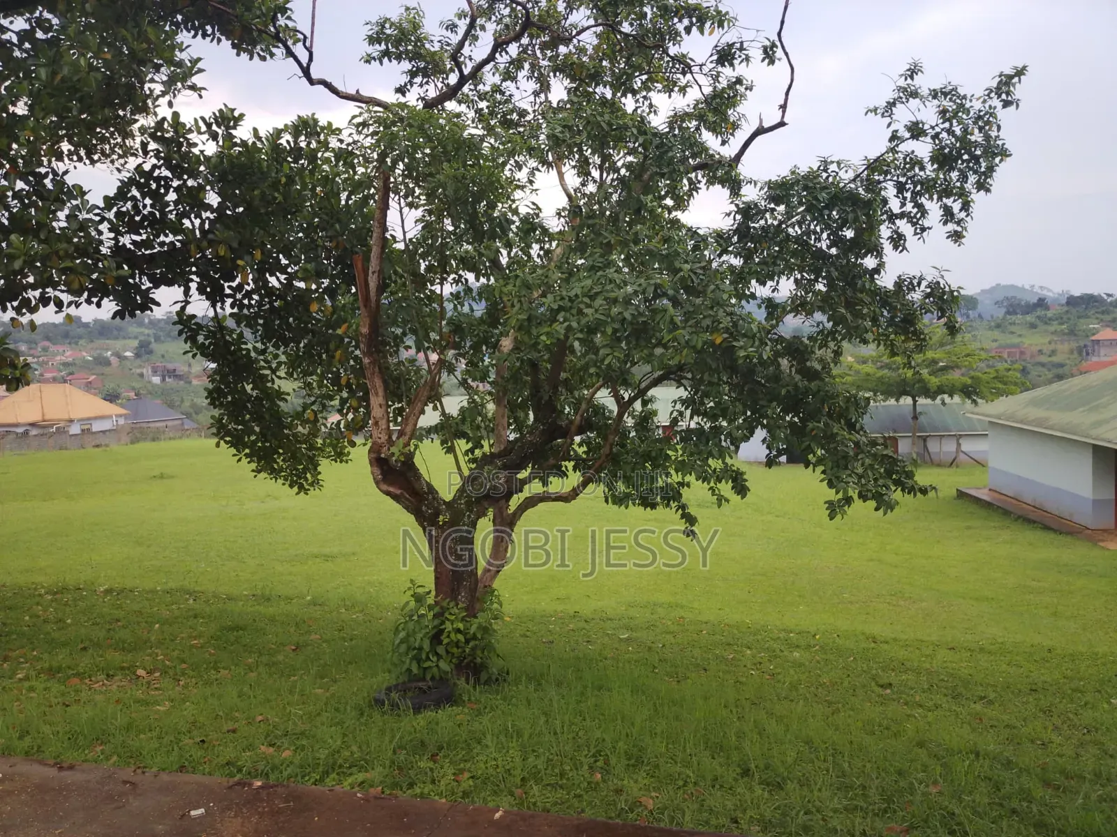 Buloba School Seated On 4 Acres Of Land in Wakiso / Wakiso - Land ...