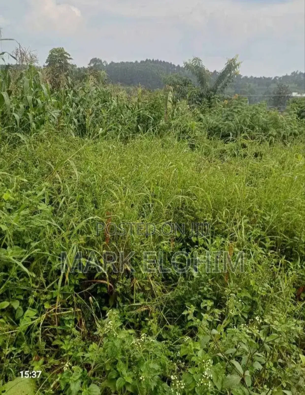 Land For Sale in Mpigi / Mpigi - Land & Plots for Sale, Mark Elohim ...