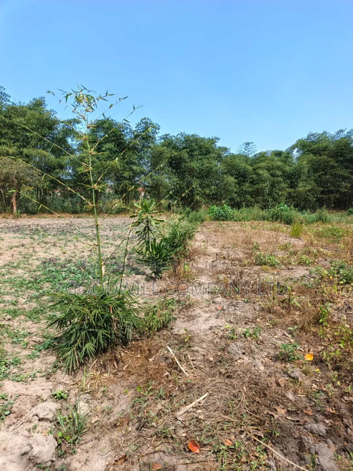 37 Decimals of Land in Kyanja Kungu in Central Division - Land & Plots ...