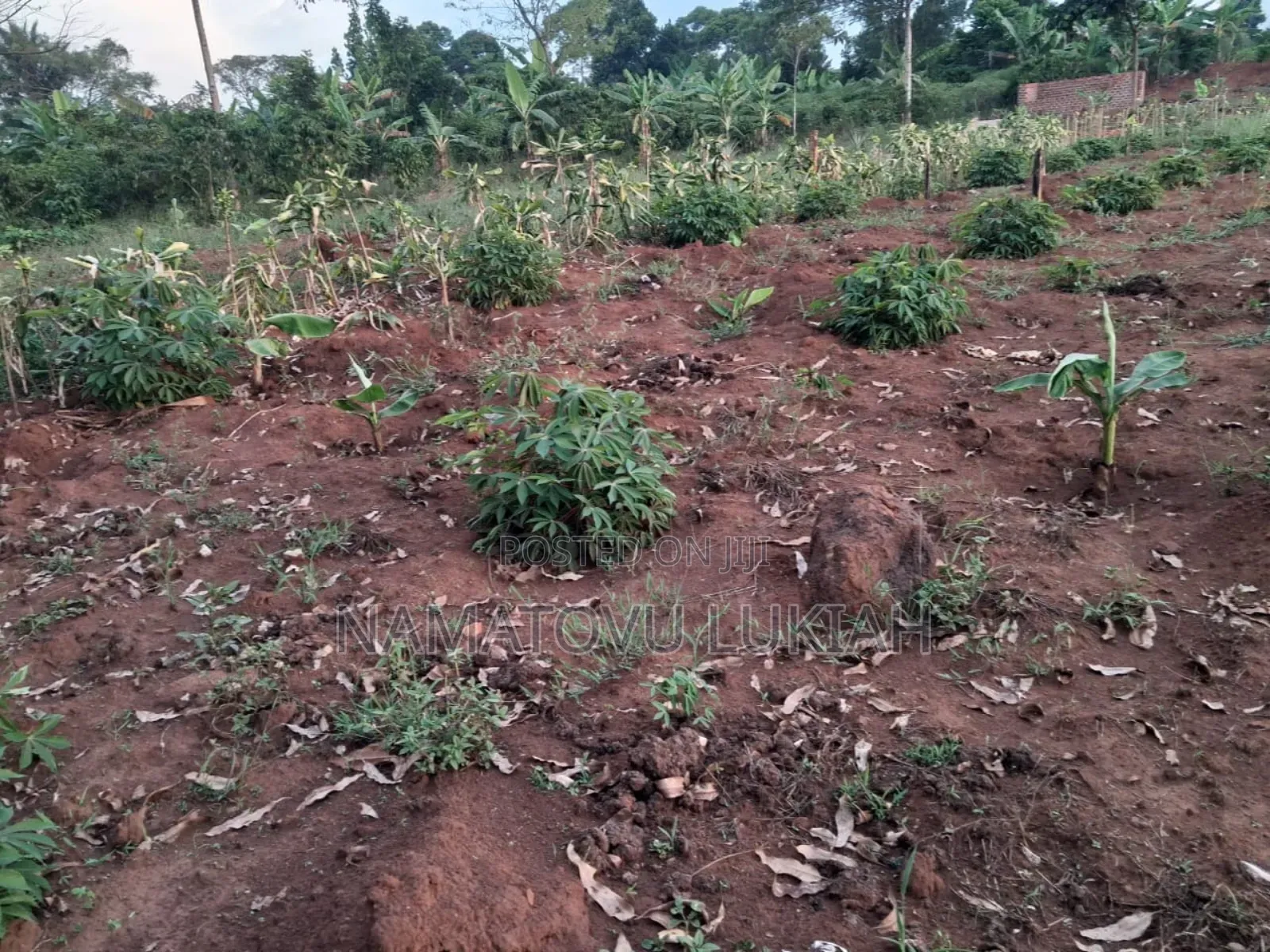 Century Property Real Estate Uganda Limited in Central Division - Land ...