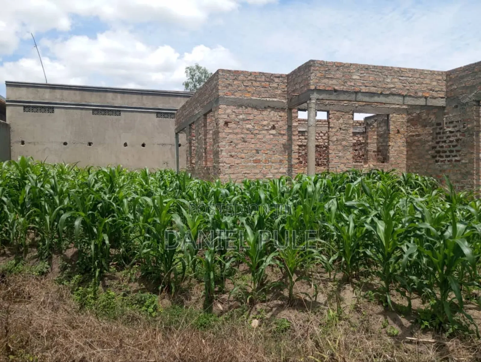 3bdrm House in Sema Estate, Wakiso / Wakiso for sale in Wakiso / Wakiso ...