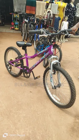 Apollo Zest Junior 20inch Mountain Bike In Purple, 7-11yrs. in Central ...