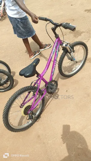 Apollo Zest Junior 20inch Mountain Bike In Purple, 7-11yrs. in Central ...