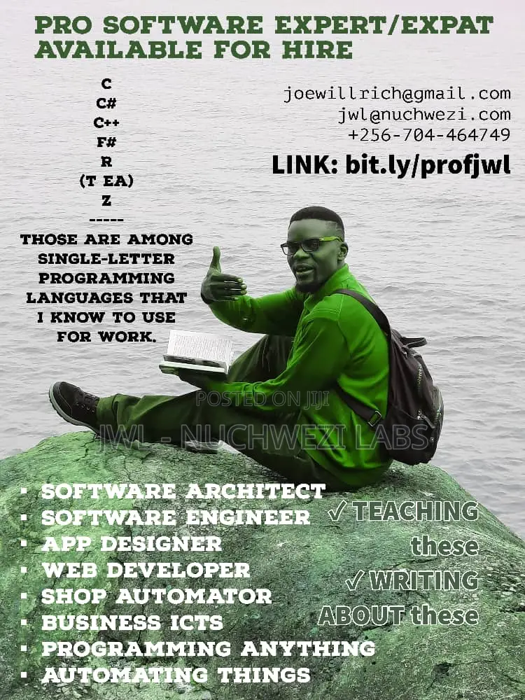 Professional Software Engineer Computer Programmer in Katabi - Computer ...