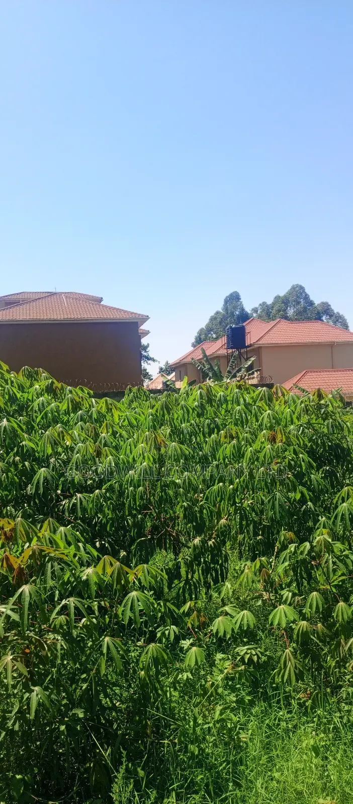 100*100 Plot of Land in Jinja Misindye Namugongo in Central Division ...