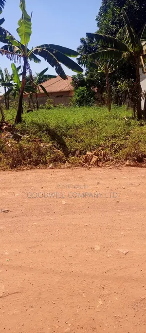 Property in Uganda for rent & sale Price in January 2026 on Jiji.ug