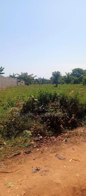 50*100 Plot of Land Touching on Marrum Road in Nsasa Near Bulindo Town ...