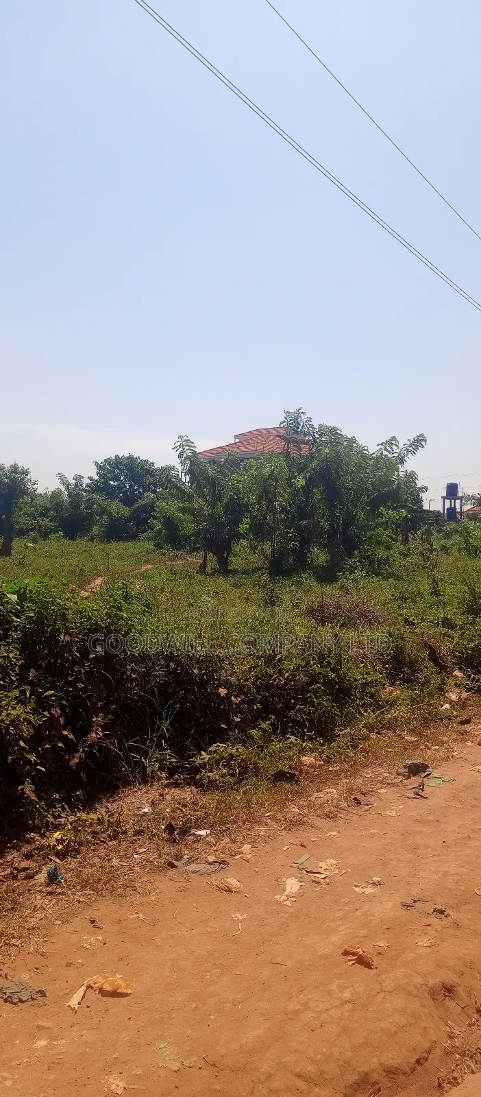 50*100 Plot of Land Touching on Marrum Road in Nsasa Near Bulindo Town ...
