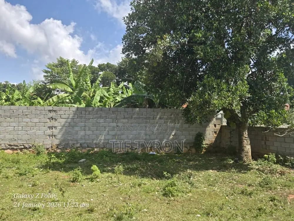 Land for Sale in Central Division - Land & Plots for Sale, Tif Tyron ...