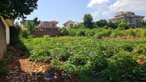 15 Decimals Lake View Land in Entebbe Nkumba in Katabi - Land & Plots ...