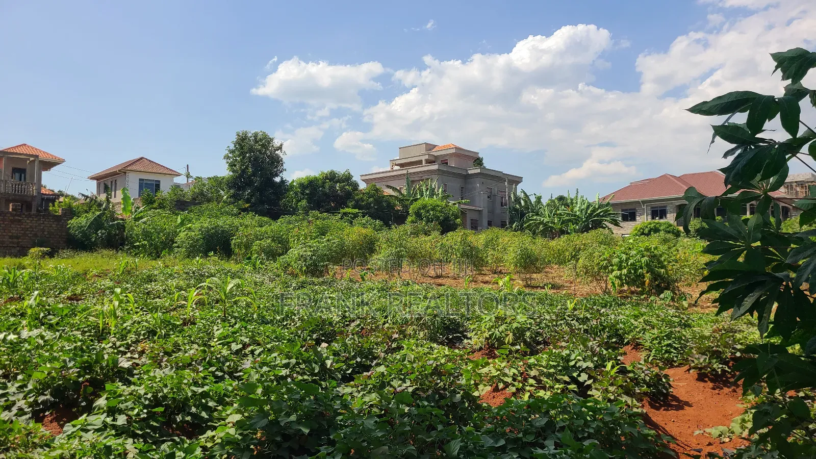 15 Decimals Lake View Land in Entebbe Nkumba in Katabi - Land & Plots ...