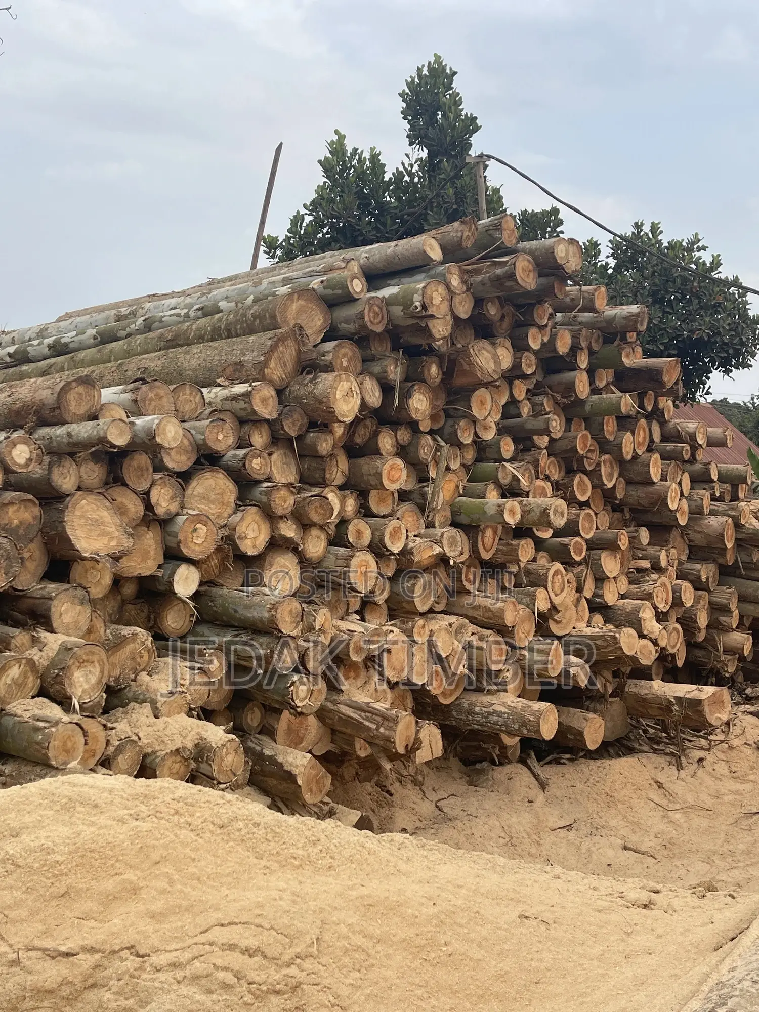 Timber Every Size in Bombo TC - Building Materials & Supplies, Nicholas ...