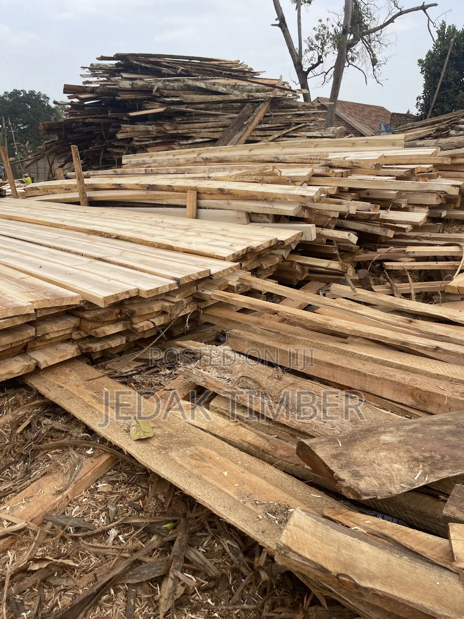 Timber Every Size in Bombo TC - Building Materials & Supplies, Nicholas ...