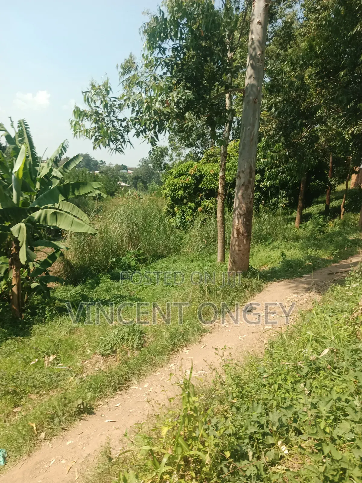 Prime Land for Sale in Masindi - Land & Plots for Sale, Vincent Ongey ...