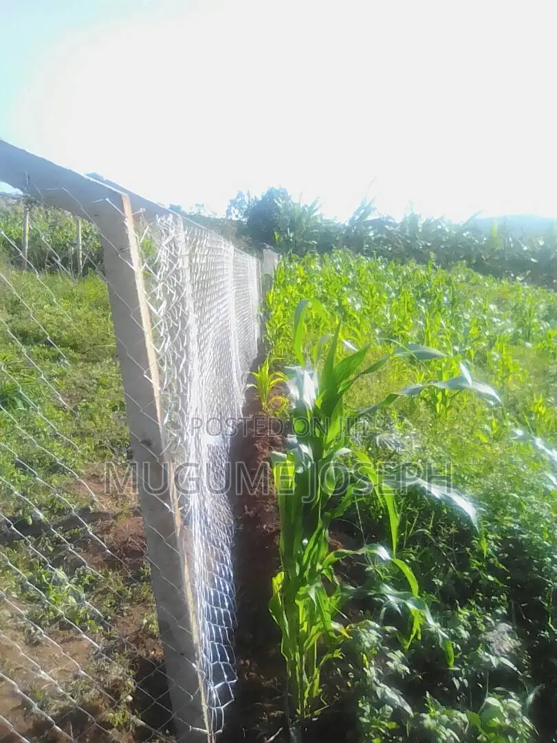 Hot Land Deal on Sale in Mpigi TC - Land & Plots for Sale, Joseph ...