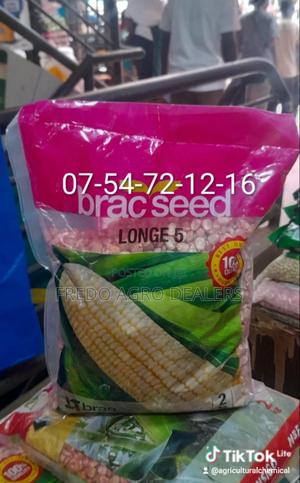 Local Maize Seeds in Central Division - Farm Machinery & Equipment ...