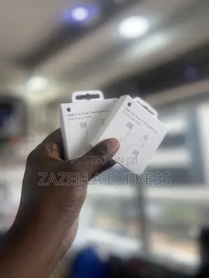 Type C to Type and Lightning Cable for iPhone 15,16 and 17 Series for ...