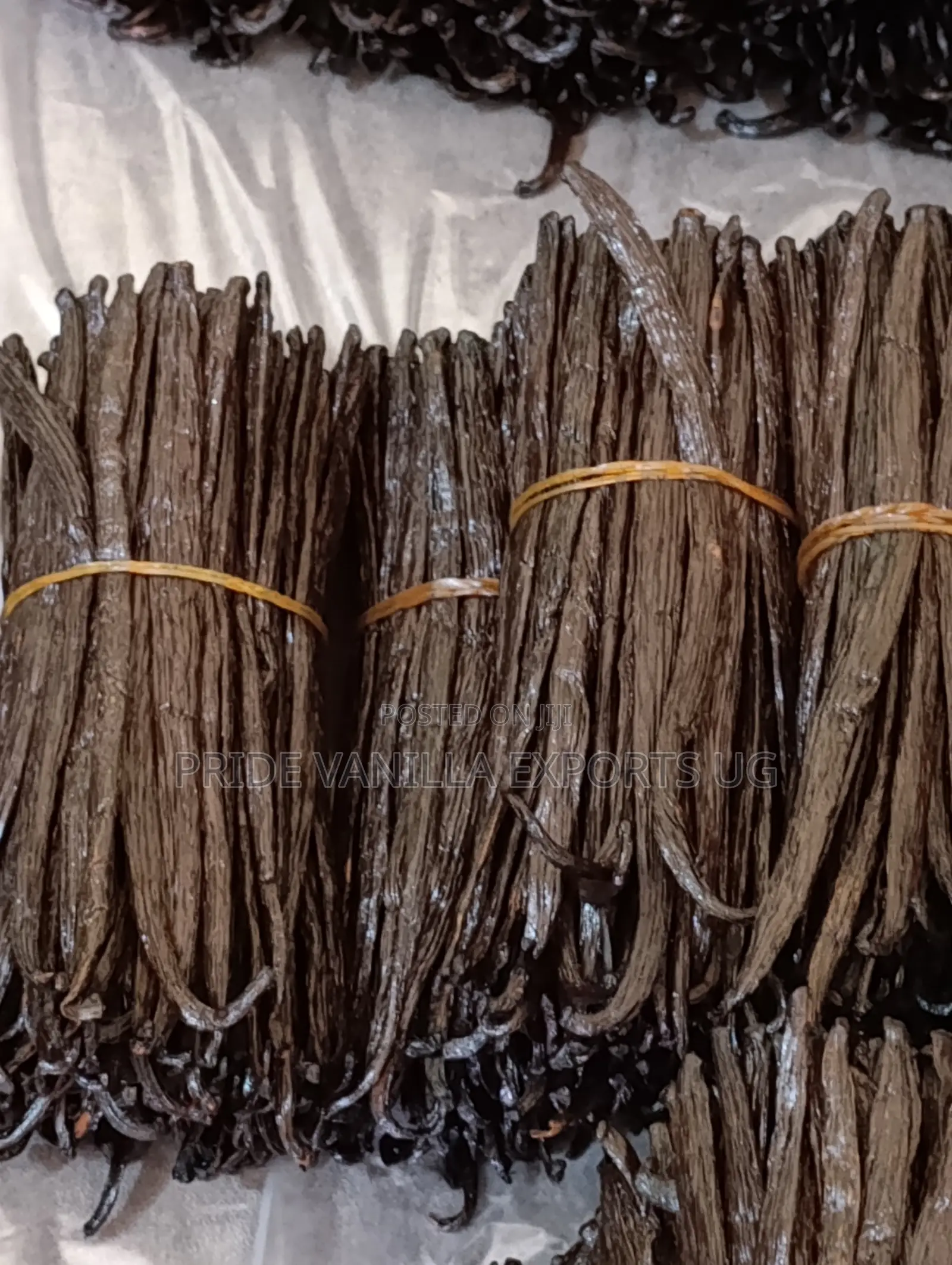 Vanilla Beans Grade A for sale - Pride Vanilla Exports Ug Price: USh ...