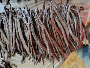 Vanilla Beans Grade B for sale - Pride Vanilla Exports Ug Price: USh ...