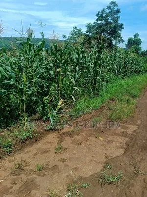 Property in Uganda for rent & sale Price in June 2026 on Jiji.ug