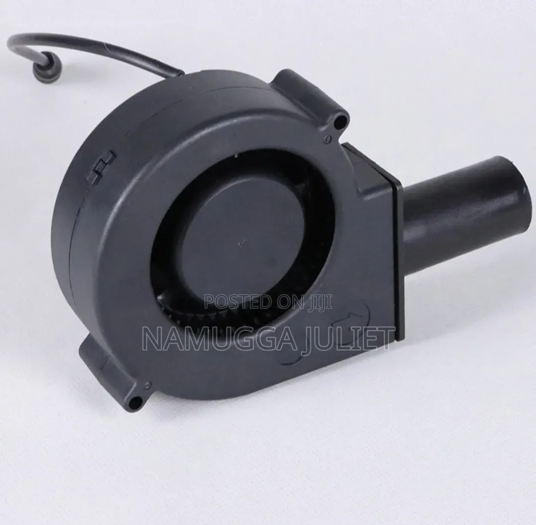 Fan Blowers - Namugga Juliet Price: USh 55,000 on Jiji.ug [Central ...