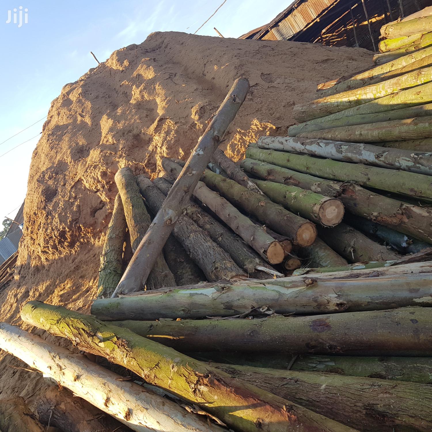 Timbers for Sale in Central Division - Building Materials & Supplies ...