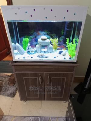 Nice and Easy to Maintain Aquarium in Kampala - Fish, Aqua Uganda | Jiji.ug